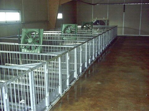 Matériel d'élevage de canards - Gamme de matériel élevage canards