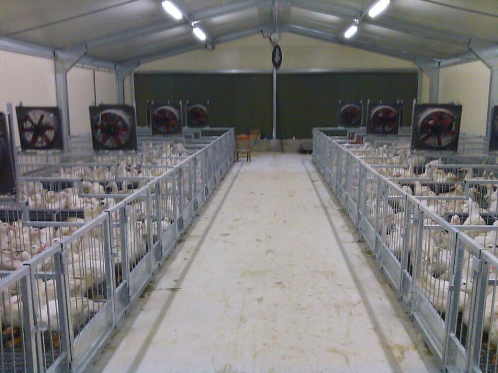 Matériel d'élevage de canards - Gamme de matériel élevage canards